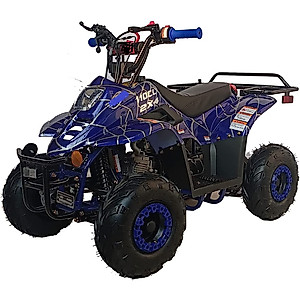 110cc ATV Four Wheelers Fully Automatic 4 Stroke Engine 6 Inch Tires Quads for Kids Spider Black