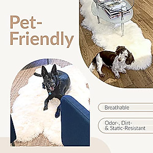 Sheepskin Ranch Real Long Wool Sheepskin Rug for Natural Home Decor, 3 x 2 Feet