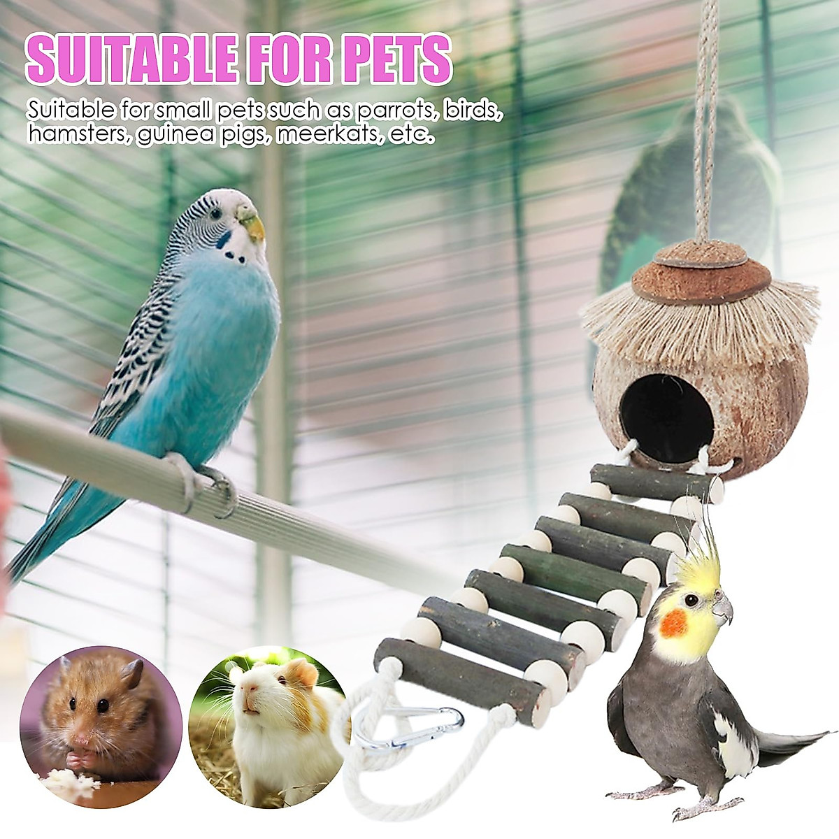NOTRAK Natural Coconut Bird Nest, Coconut Hide, Cute Nest with Ladder for Home, Coconut Bird Shell Breeding Nest for Home, Garden, Yard, Universal Bird Hut with Rope for Birds, Reptiles and Mammals