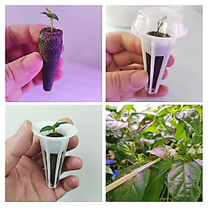 82pcs Seed Pod Kits for Aerogarden, Indoor Herb Hydroponics Growing System Starter Kit with 24Grow Sponges,24pods Labels, 12Grow Baskets, 12Plant Spacer Kit,10pcs Pollinating Tool