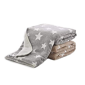LeerKing Dog Blanket Double Layer 30 x 40 Inches, Micro Fleece Plush Warm Puppy Blanket Bed Cover Protection Pet Cat Kitten Flannel Throw Blanket