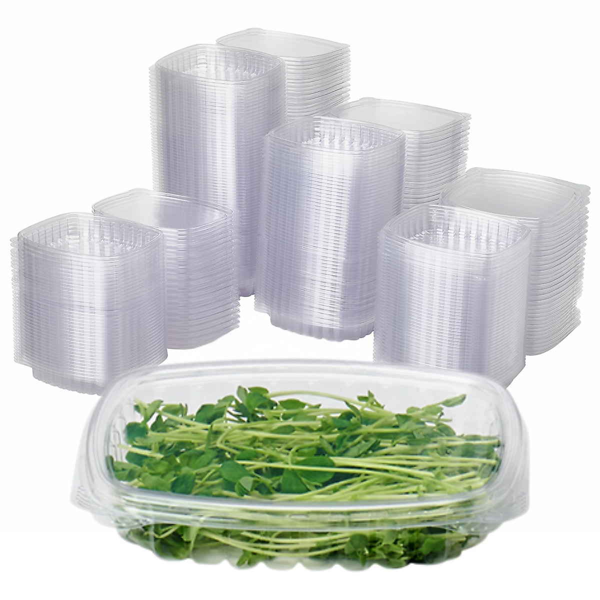 good natured 16 oz. 200 Pack - Multi-purpose Clamshell Package – 99% Plant-Based Clear Food Storage Containers – Lightweight To-Go Boxes - BPA - Free Food Packaging