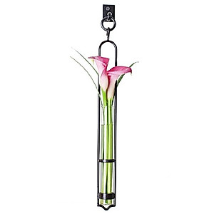 Couronne Co. Florence Hanging Pendant Tube Vase with Wall Hook, M044-001, 16.5 Inch Tall, 2.7 Ounce Capacity, Clear, 1 Piece