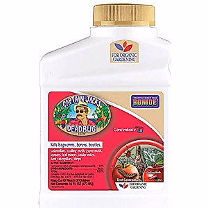 Bonide Captain Jack's Dead Bug Brew Conc. Pint