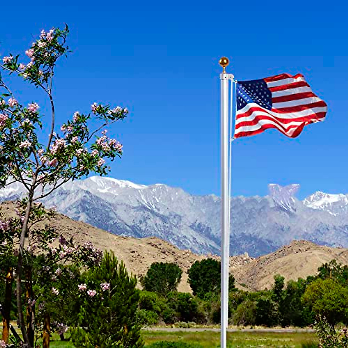 NQ Flag Pole Rope Kit - 50 Feet x 1/4" Diameter Flag Pole Halyard Nylon Rope with 4 Pieces Flag Pole Hook Clips - Outdoor Flagpole Accessories, Rope for Clothesline, Swing, Camping (50FT, White)