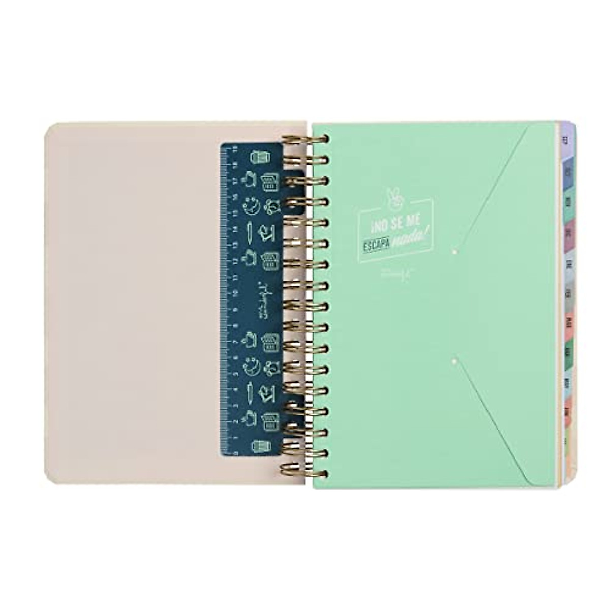 Mr. Wonderful, Wonder Planner 2023-2024 Pink Diary, Every Day Can Be My Day