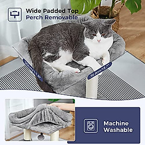 MeowSir Cat Tree 4 in 1 Cat Scratching Post Featuring with Cat Self Groomer Wide Large Top Perch Natural Scratching Post and Danging Ball for Indoor Cats-Grey