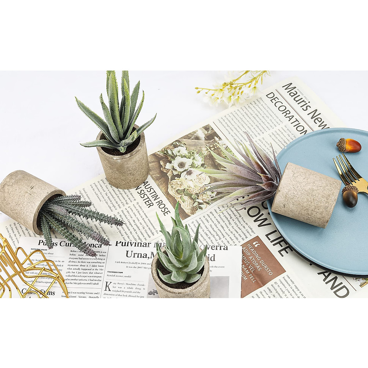 WUKOKU 4 PCS Small Fake Succulents Plants in Ceramic Pots Mini Artificial Potted Succulent Decoration for Desk, Shelves, Office and Home