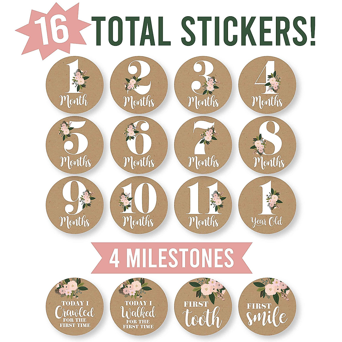 16 Monthly Baby Milestone Stickers Girl - Rustic Baby Monthly Milestone Stickers for Baby Girl, Milestone Baby Monthly Stickers, Baby Month Stickers for Baby Photo Props, Monthly Baby Stickers Girl
