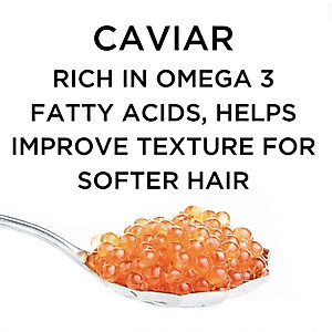 AYAM Beautycare Dead Sea Minerals + Caviar Shampoo & Conditioner Set, Anti-Aging Replenishing Moisture for Dry and Damaged Hair 13.5 Fl Oz Ea (Set of 2).