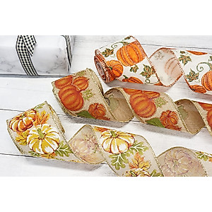 CT CRAFT LLC Christmas Wired Ribbon Assortment 27 Yards (2.5 Inch Wide 3Yards 9Rolls) for Christmas Fall Home Decor, Gift Wrapping, Bow Making, Wreath, DIY Crafts