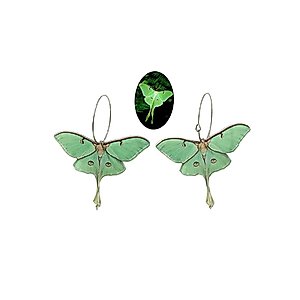 Insect Moth Butterfly Hoop Earrings,Wing Statement Drop Earrings Green Acrylic Moth Wing Earrings Statement Black Butterfly Earrings for Women Party Jewelry (Green)