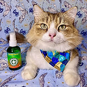 Meowijuana | 3 Oz. Premium Catnip Spray | Organic | High Potency | Use On Cat Toys, Teasers, and Scratchers | Grown in The USA | Feline and Cat Lover Approved