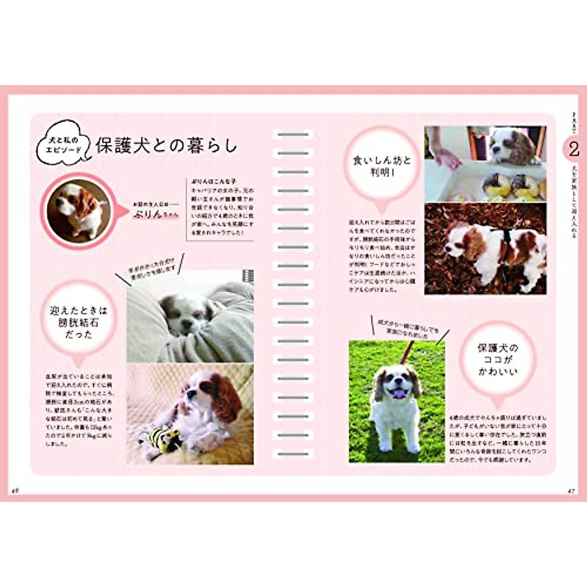 犬のいる暮らし 一生パートナーでいるために知っておきたいこと
