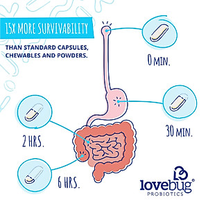 lovebug PROBIOTICS Here’s The Skinny Daily Probiotic for Men & Women, 60 Tablets