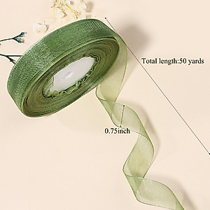 Hiswan 3/4 inch Sage Green Sheer Organza Ribbon 50 Yards Chiffon Ribbon for Gift Wrapping Christmas Halloween Decoration Wedding Flower Bouquet Crafts