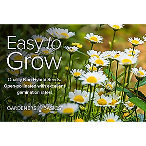 Perennial Flower Seeds for Planting Outdoors (5 Variety Pack) Lupine, Columbine, Echinacea Purple Coneflower, Black Eyed Susan, Shasta Daisy for Pollinators Wildflower Seed by Gardeners Basics