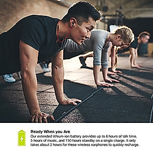 Naztech NX80w Bluetooth Wireless Earphones with Mic Compatible with iPhone 14/13/12/Pro/Pro Max, Galaxy S23/S22/S21, Tablets & More [Lime/Black] 13898