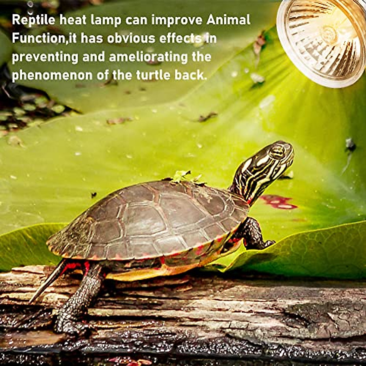 Pilarmuture 2PCS 75W Reptile Heat Lamp, UVA UVB Full Spectrum Reptile Turtle Heating Lamp Bulbs E27 Sunbathe Heat Lamp Basking Bulb for Reptile Amphibian Turtle Lizard (with 2Pcs Coconut Tree)
