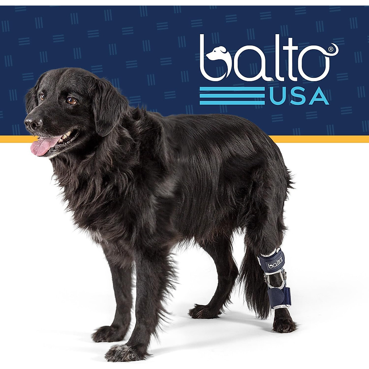 Balto Flexor Adjustable Hinged Dog Hock Brace – Ankle Brace –Variable Range of Motion or Full Immobilization – Post Surgical Support or Surgical Alternative – Back Leg (Medium/Large)