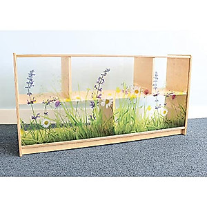 Whitney Brothers 48 in. Acrylic Back Cabinet, Natural Uv