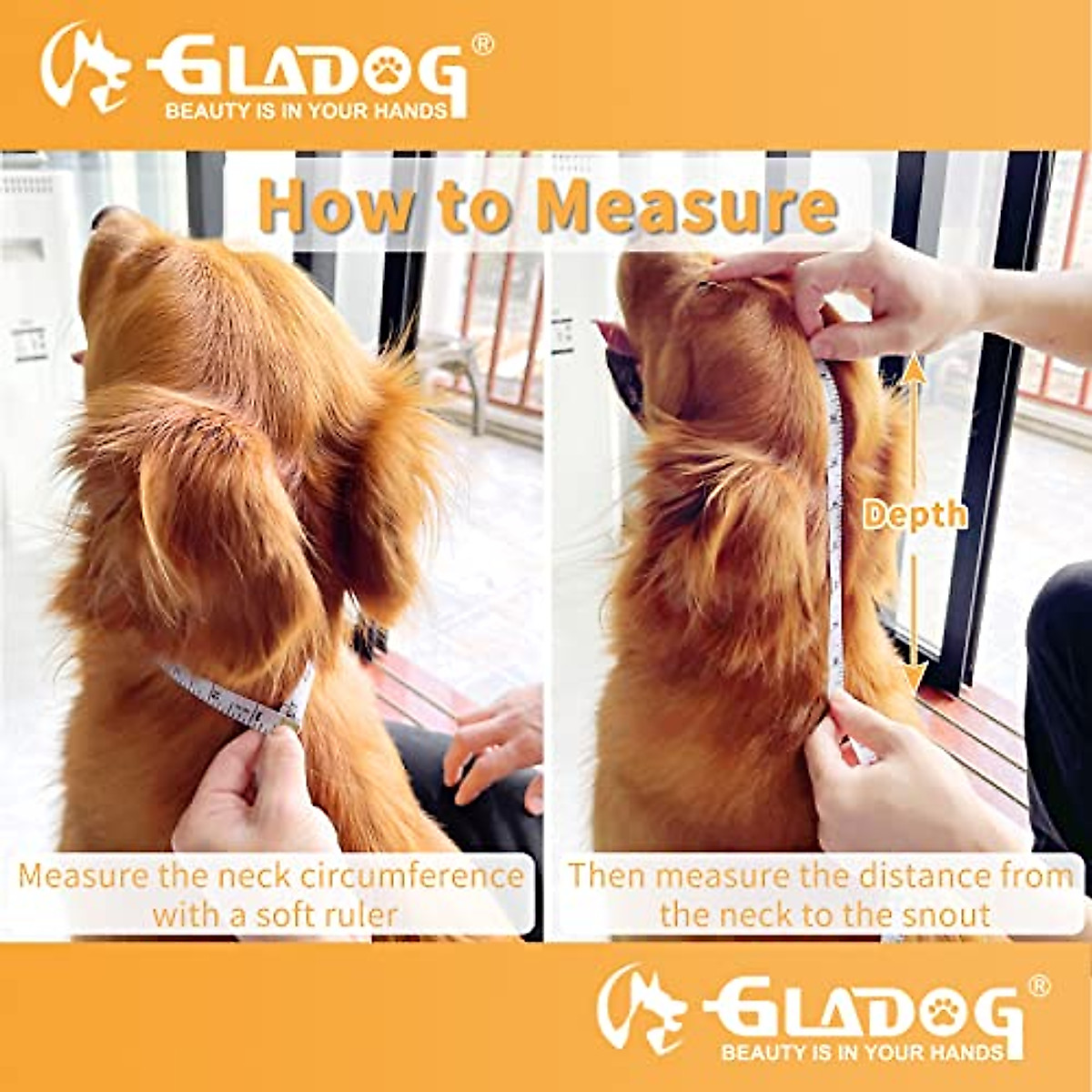 Soft Dog Cone Collar, 2 PCS (for Exact Size) Flexible Plastic Cone for Dogs After Surgery, Dog Recovery Collar, Adjustable E-Collar for Large/Medium/Small Dogs Cat, Comfy Elizabethan Collar (M)