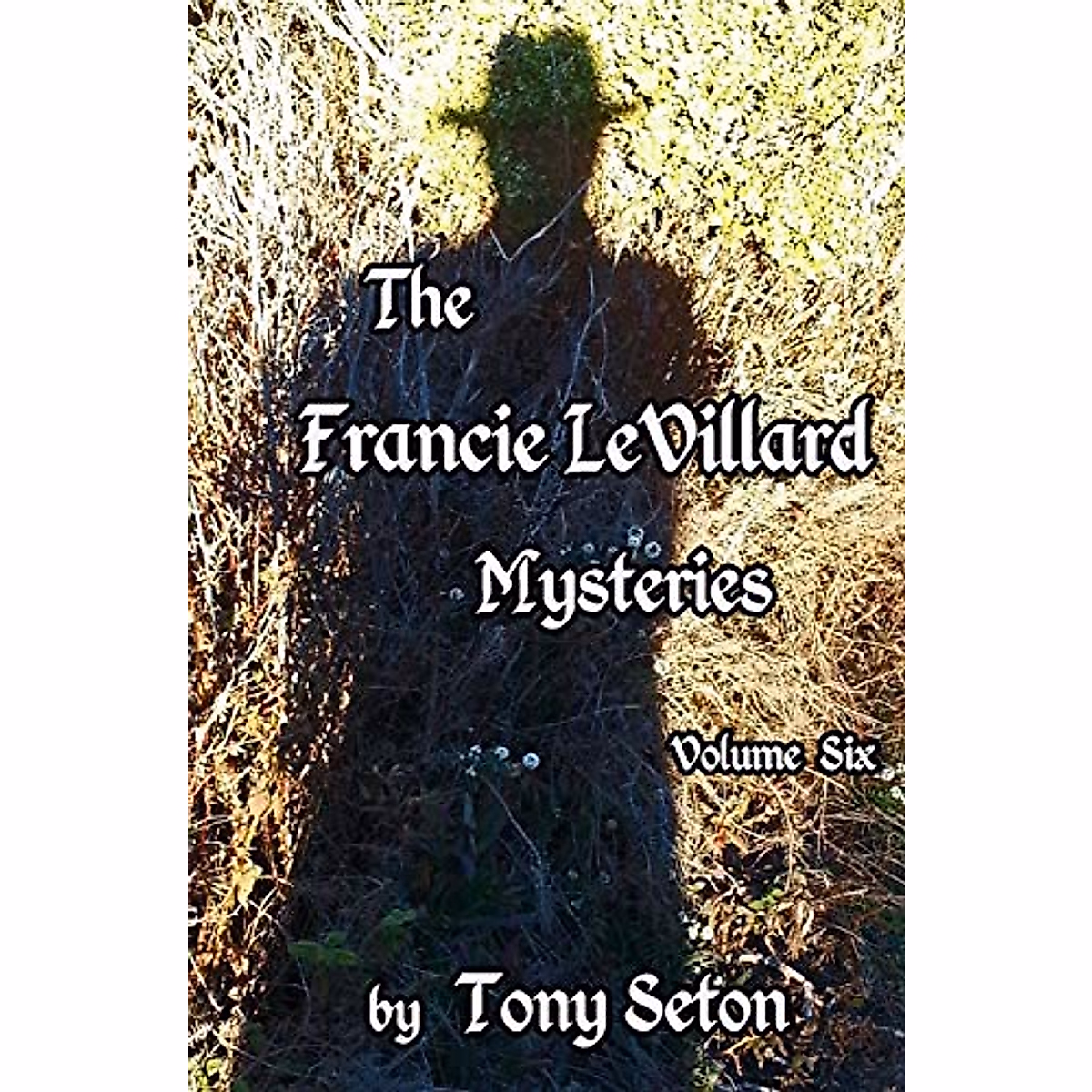 The Francie LeVillard Mysteries Volume VI