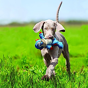 KONG Cross Knots Monkey Dog Toy, Medium/Large, Large Breeds