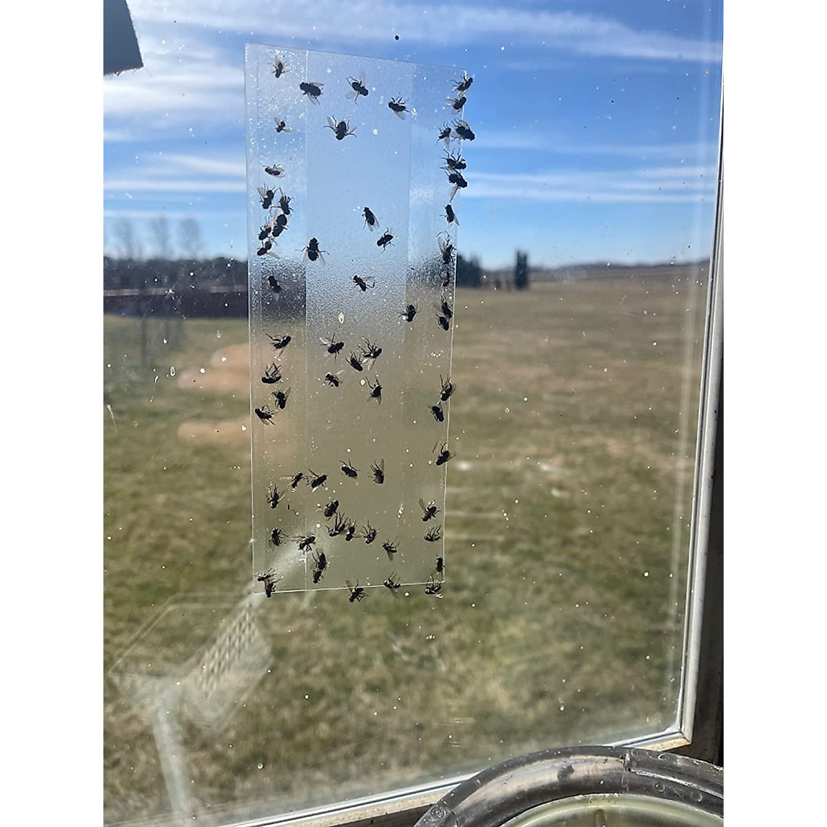 100 Count Window Fly Traps, Window Sticky Traps for Indoors, Clear Window Strip, Fly Catcher Trap for Home Houseflies, No Residue Fruit Fly Sticky Traps