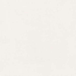 Light Gray Cardstock - 8.5 x 11 inch - 80Lb Cover - 50 Sheets - Clear Path Paper