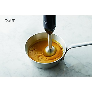 Panasonic Hand Blender Black MX-S300-K