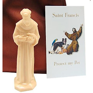 Westmon Works St Francis Pet Prayer Set Holy Card Patron Saint Novena Prayer with Plastic Saint Statue for Dog and Cat Owners