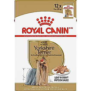 Royal Canin Yorkshire Terrier Adult Breed Specific Wet Dog Food, 3 oz 12-pack