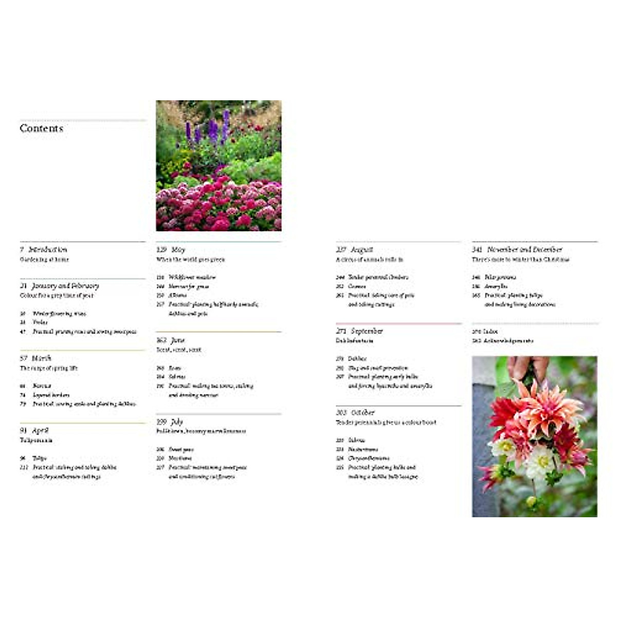 A Year Full of Flowers: Gardening for all seasons