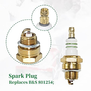 POSEAGLE 99-9313 Snow Blower Paddles with 55-8760 Scraper Blade 55-9300 Drive Belt and Hardware Kits for Toro Toro CCR 2000, CCR 2400, CCR 2400R, CCR 2400E, CCR 2500, CCR 2500R, CCR 3000R Snowthrowers