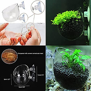 Crystal Glass Aquatic Plant Cup Pot Holder,Fashionclubs Aquarium Tank Live Plant Glass Pot Red Shrimp Holder with 2 Suckers,Fish Tank Aquascape Decor,2-Pack