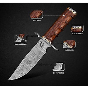 Handmade Damascus Steel Hunting Knife - 11" EDC Fixed Blade Knife Ideal for Skinning, Camping, and Outdoor, Bushcraft, Tactical, Skinning Knife With Wood Handle & Leather Sheath