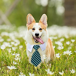 7 Striped Tie, Velcro Tie, Adjustable Pet Bow Ties ，Formal Classy Tuxedo Bow Ties，Multiple Colors to Choose Suitable for Pet Birthday, Party, Wedding, ，Surprise for Kittens and Puppies