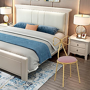 DUANY STORE Makeup Vanity Girl Chairs Stool for Bedroom with Bow Knot Backrest,Side Table Seat Dressing Chair with Golden Metal Leg,Velvet Cushion for Girl Daughter Room