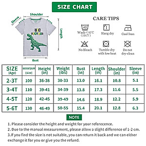 Dinosaur Big Brother Announcement T Shirt Sibling Outfits for Toddler Boys Cotton Promoted to Big Brother Shirt Print Colorful Dino Short Sleeve Top Tee Gift(Gray, 18-24 Months)