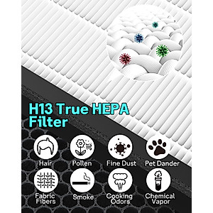 Leemone 2 Pack Vital 200S Replacement Filter Compatible with LEVOIT Vital 200S Air Puri-fier, 3-in-1 H13 True HEPA Activated Carbon Filter, Vital 200S-RF