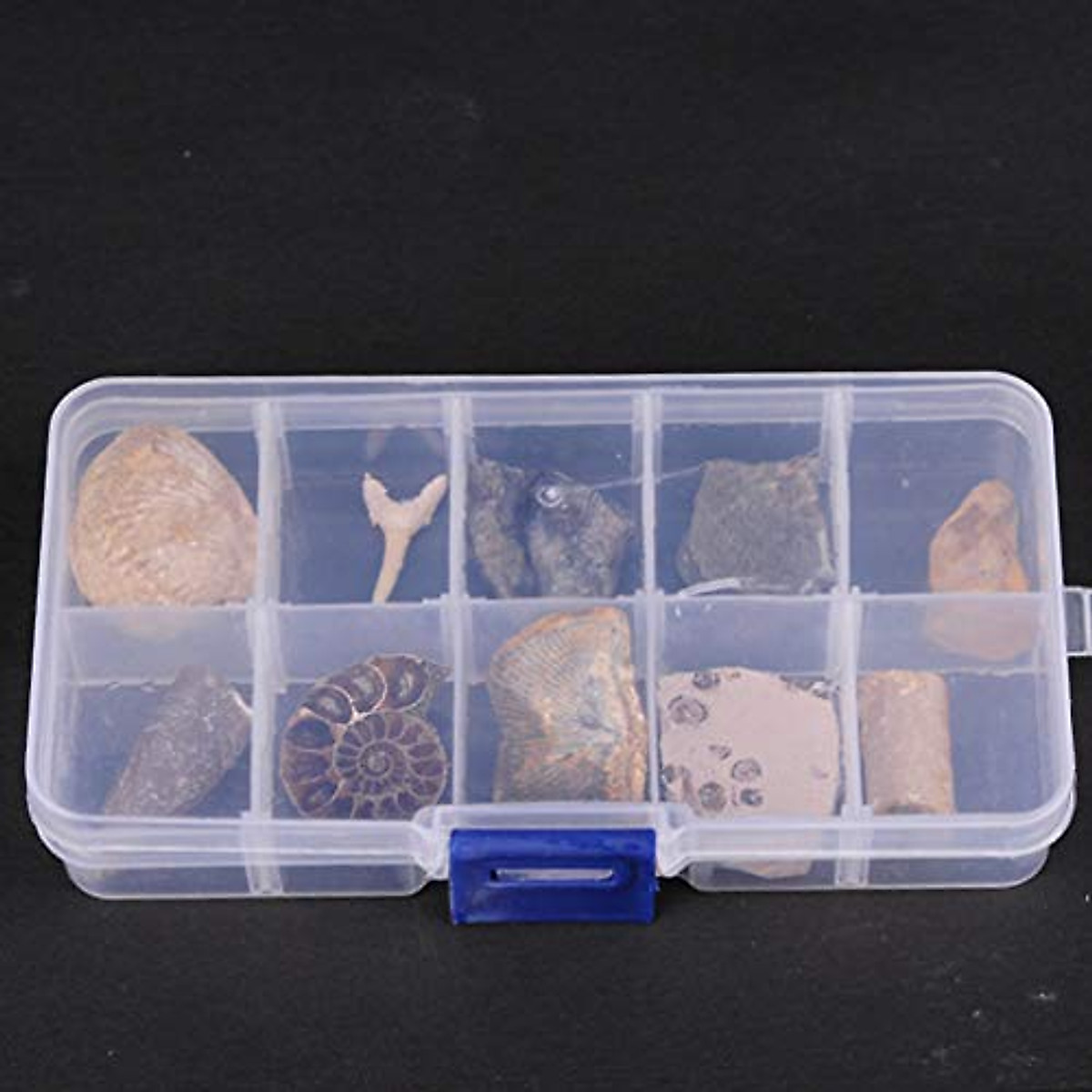 Hemobllo Fossil Specimens Collection Set, 10PCS Paleontology Fossil Specimens, Trilobite Amber Fossil Educational Science Kits, Creative Science Decoration Stone