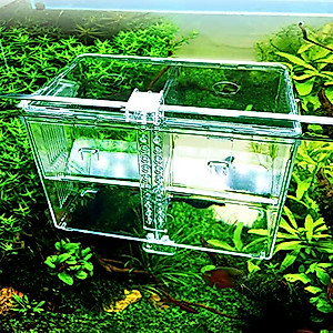 XEOGUIYA Acrylic Aquarium Breeder Box Hang on Back, Isolation Hatchery Feeding Boxes for Small Fish Fry Hatchery