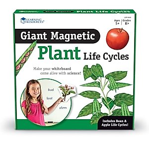 Learning Resources Giant Magnetic Plant Life Cycle - 12 Pieces, Science Exploration Activities for Kids, Homeschool and Classroom Science Supplies