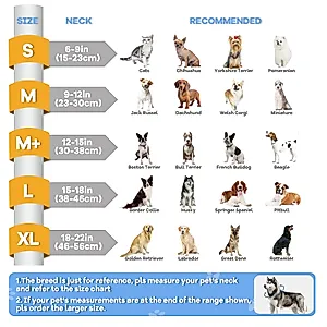 NoarWin Inflatable Dog Cone Collar, Soft Dog Cone for Dogs After Surgery, 2-in-1 Inflatable Dog Cone with Detachable Anti-Licking Shield, Adjustable Dog Cone Collar, Elizabethan Collar (L, Grey)