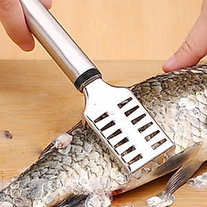 Silver Fish Scaler Brush, Remover Cleaner Fish Scaler, Fish Scaler Tool, Fish Skin Graters, Fish Tweezers Scale Tool, Steel Sawtooth Remove Scales, Fish Belly Knife for Fish Scaling Seafood Tools