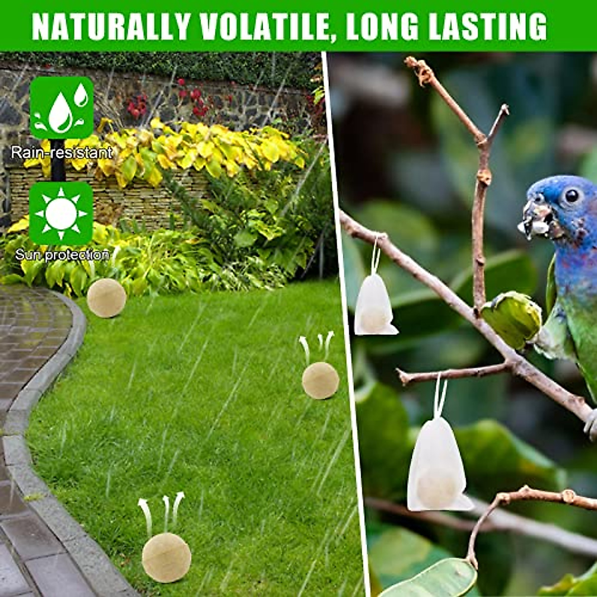 12 Pack Natural Squirrel Repellent for Outdoor Car Yard Garden Plants Indoor Bird Feeder, Peppermint Planted Ingredients Rodent Squirrel Deterrent, Keep Squirrel Mouse Away