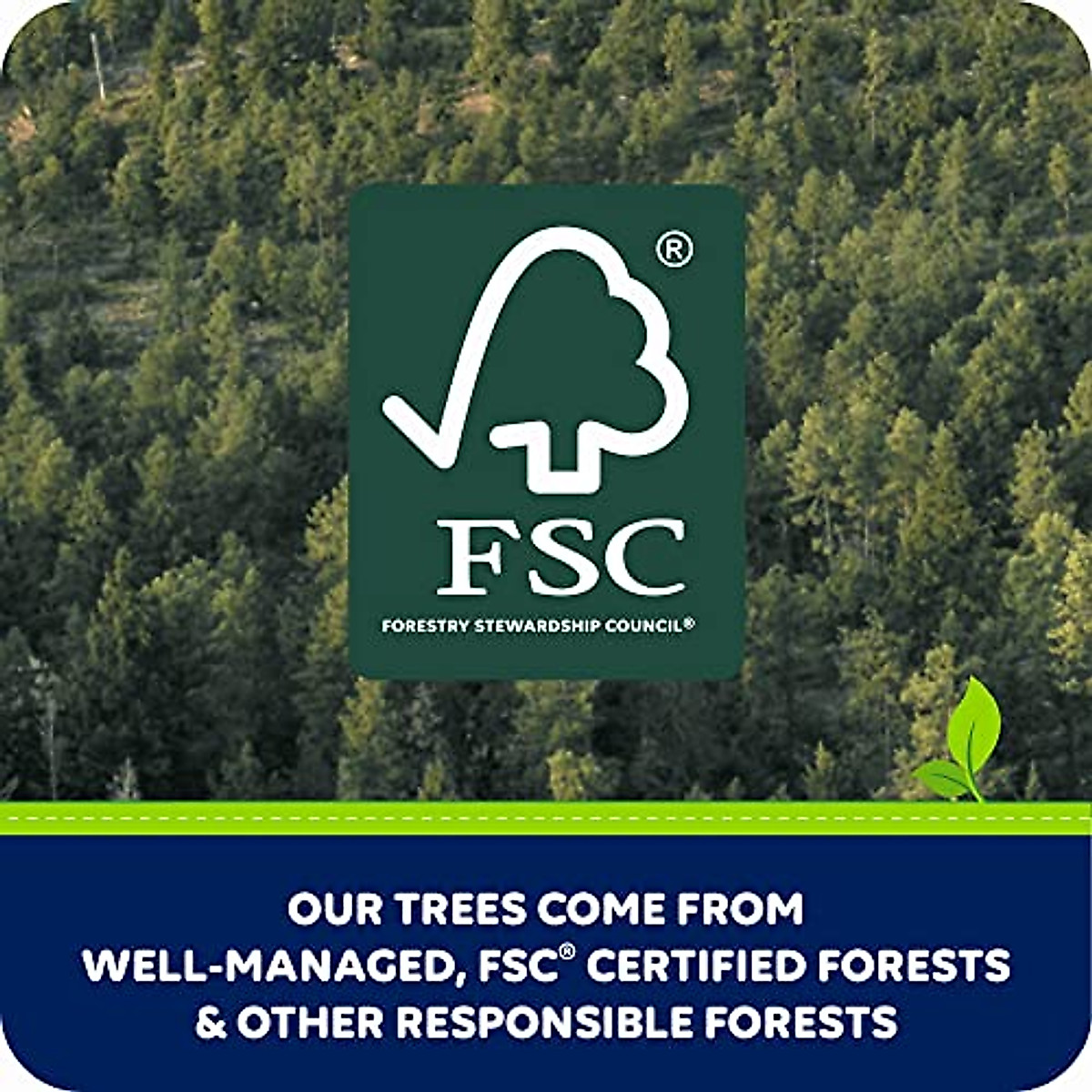 Quilted Northern Ultra Soft & Strong Toilet Paper, 18 Mega Rolls = 72 Regular Rolls, 2-ply Bath Tissue, 6 count (Pack of 3)