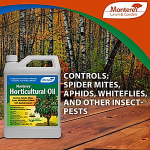 Monterey Horticultural Oil - Organic Gardening Fungicide, Insecticide, & Miticide - Controls Aphids, Mites, Scales - 1 Gallon - Apply Using a Sprayer