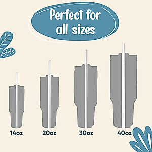 Astra Shop Replacement Straw Set: 8 Reusable Straws + 1 Cleaning Brush for Stanley & Simple Modern Tumblers. Eco-friendly, durable, and compatible with 40 oz and 30 oz Cup Tumblers.